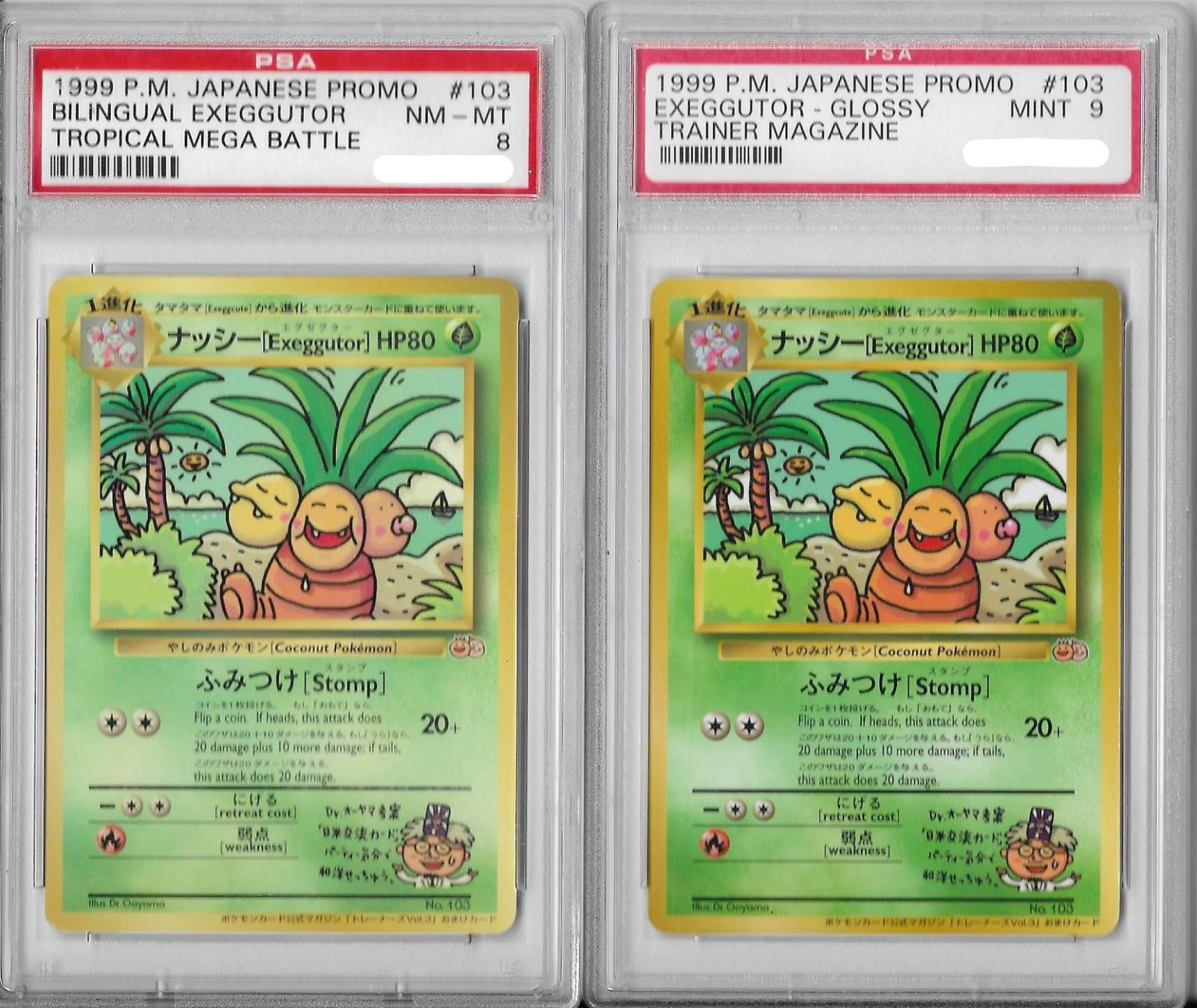 International Tropical Mega Battle 1999 - Pokumon