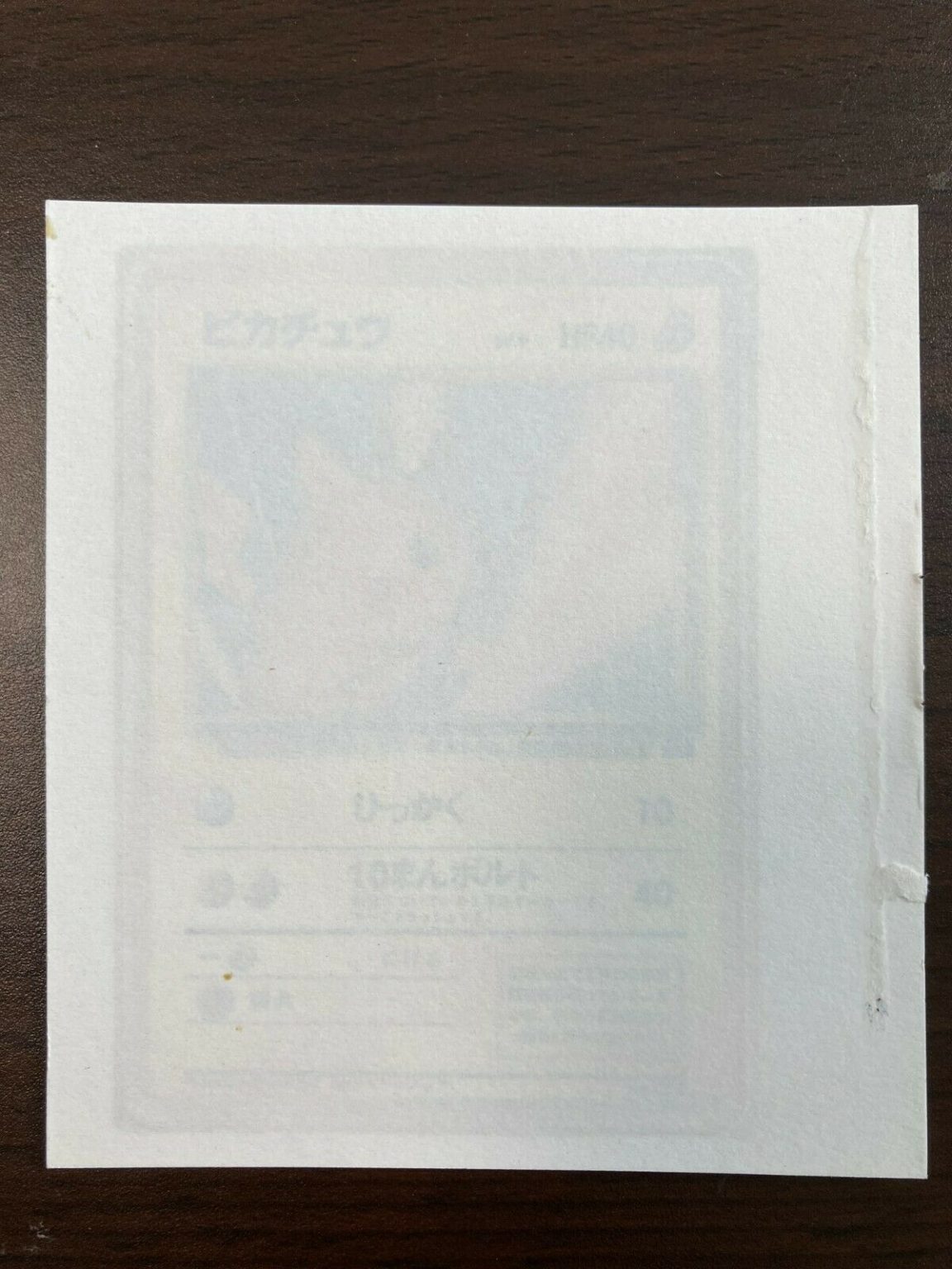 1999 Pokemon Snap Photo Contests - Pokumon